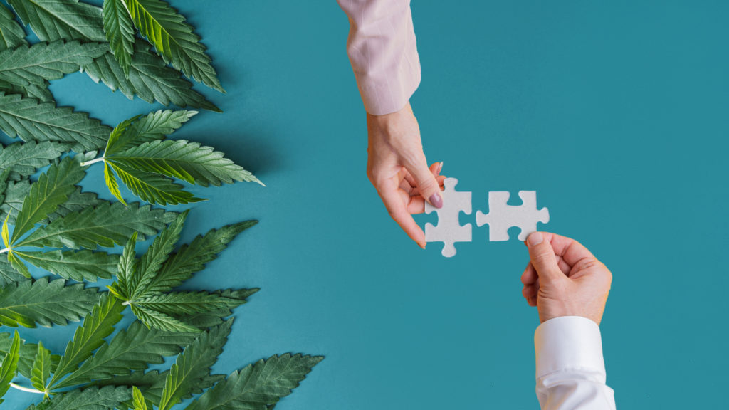 Introducing: The Panther Partner Program | The Panther Group